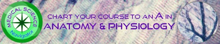 GI Hormones of Digestion & Fast | Medical Science Navigator