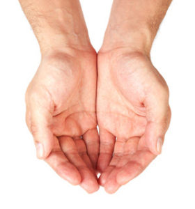 Orientation in Anatomy | Medical Science Navigator