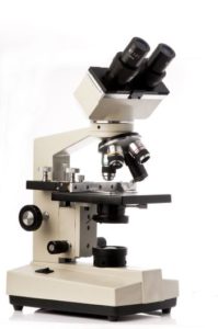 Human Tissue Lab Practical Exams | Medical Science Navigator