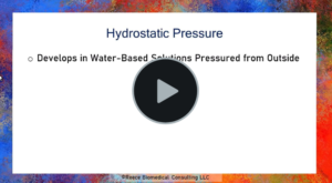 Cardiovascular Capillary Transfer | Medical Science Navigator